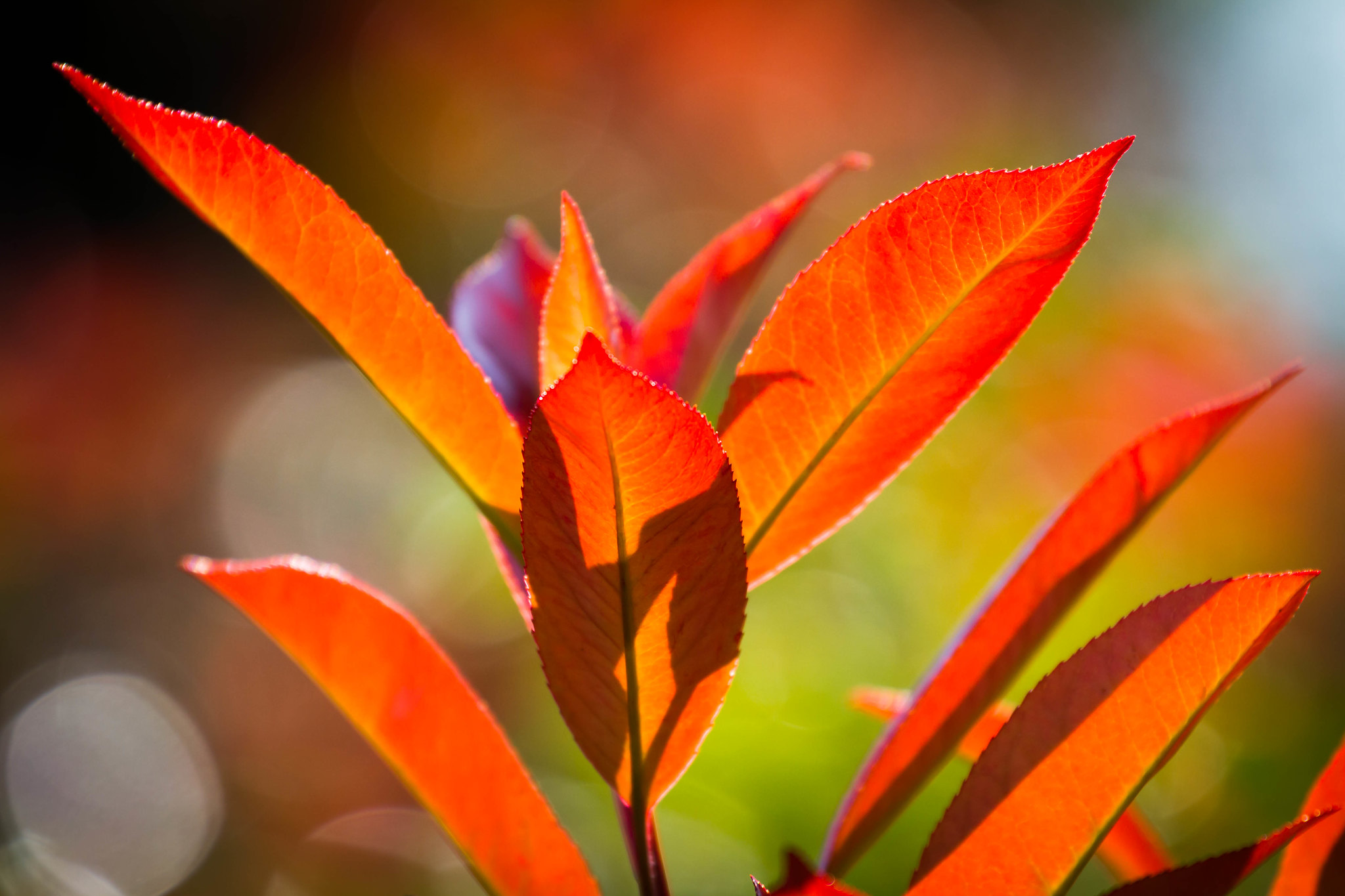 Landscape Gardeners Essex | Garden Design & Landscaping Company