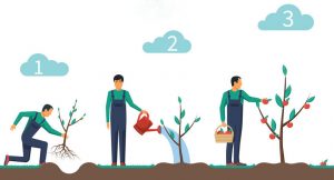 Landscape Gardeners Essex | Garden Design & Landscaping Company