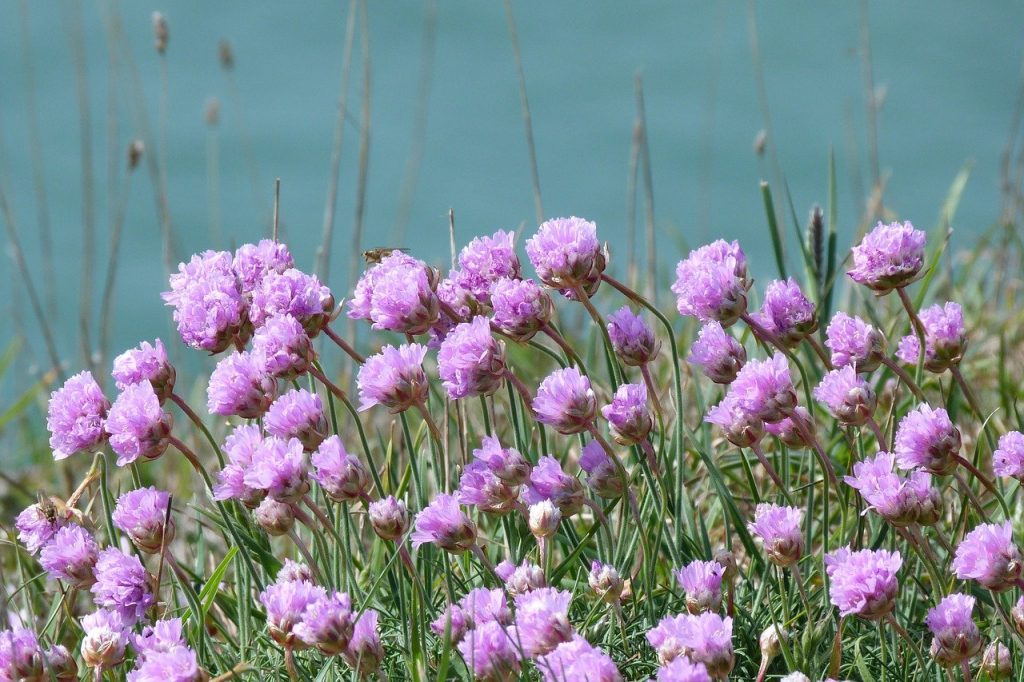 Landscape Gardeners Essex | Garden Design & Landscaping Company